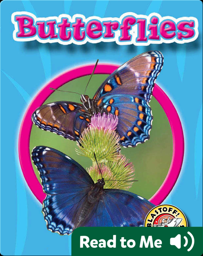 World of Insects: Butterflies Book by Martha Rustad | Epic