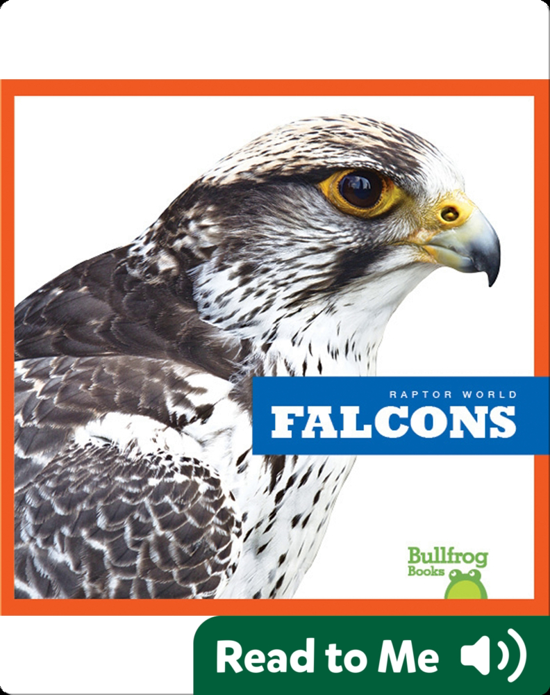 Raptor World: Falcons Book by Jenna Lee Gleisner | Epic