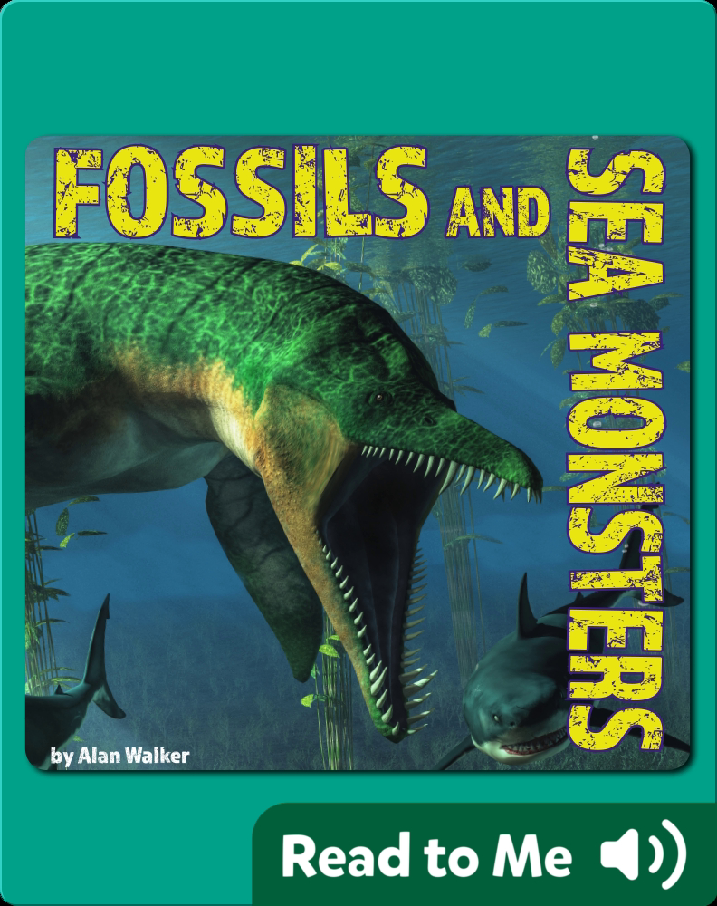 Fossils and Sea Monsters Book by Craig Stevens | Epic