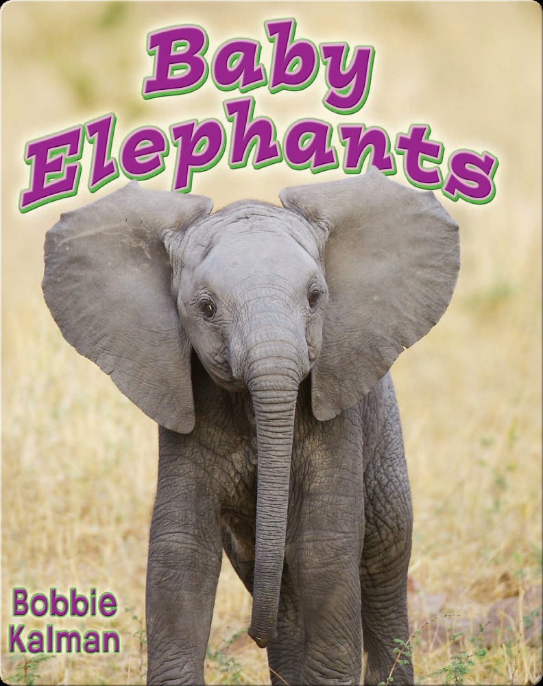 Baby Elephants Book by Bobbie Kalman | Epic