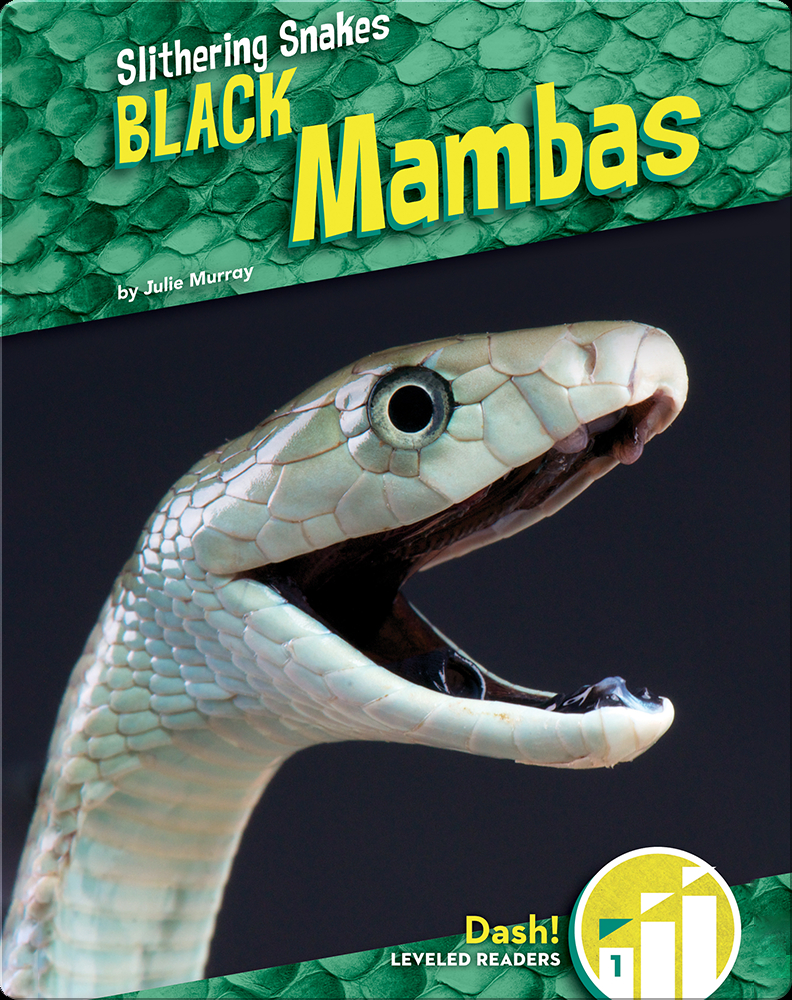 Black Mambas Book by Julie Murray | Epic
