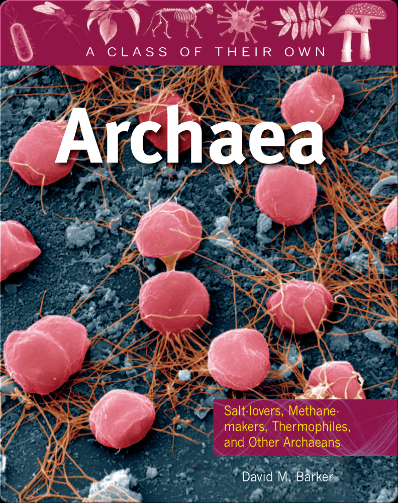 Archaea: Salt-lovers, Methane-makers, Thermophiles, and other Archaeans ...