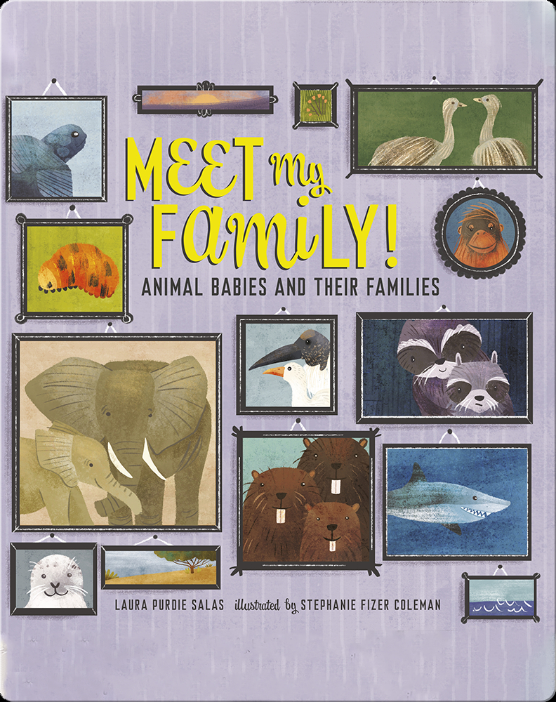 Meet My Family!: Animal Babies and Their Families Book by Laura Purdie ...