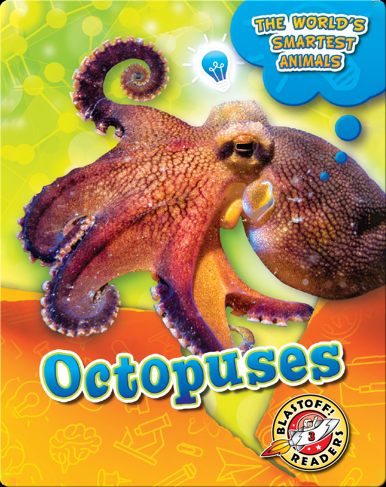 The World's Smartest Animals: Octopuses Book by Joanne Mattern | Epic
