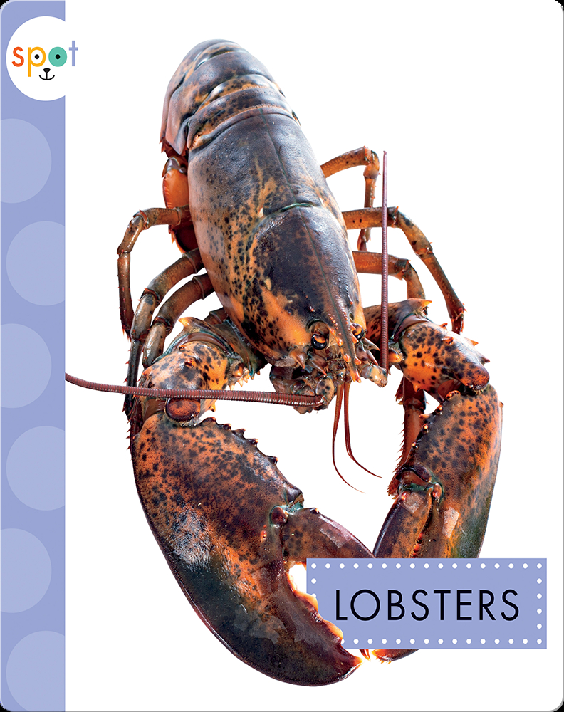 Ocean Animals: Lobsters Book by Mari Schuh | Epic