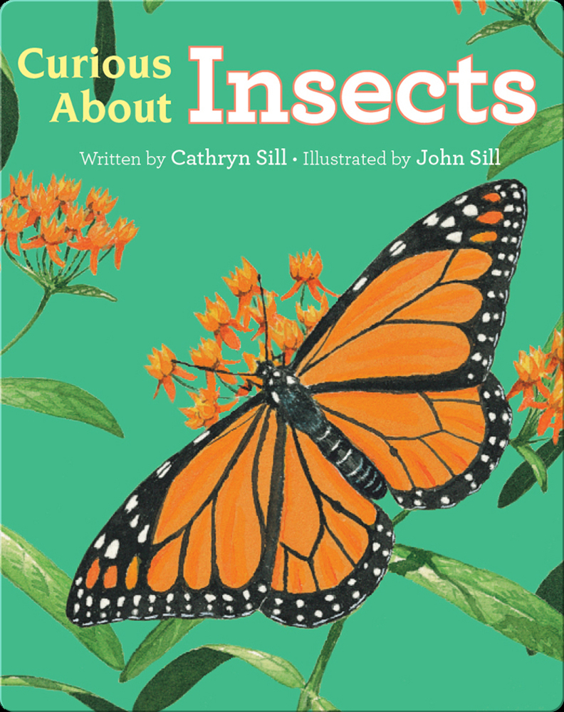 Discovering Nature: Curious About Insects Book by Cathryn Sill | Epic