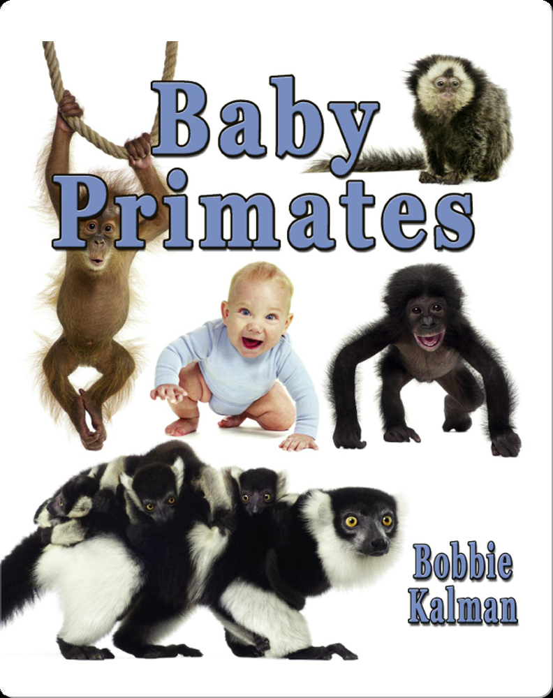 Baby Primates Book by Bobbie Kalman | Epic