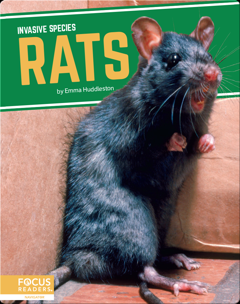 Invasive Species: Rats Book by Emma Huddleston | Epic