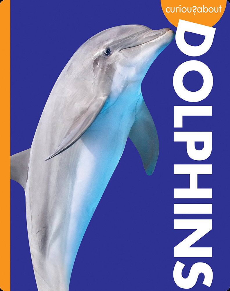 Curious About Dolphins Book by Annie C. Holdren | Epic