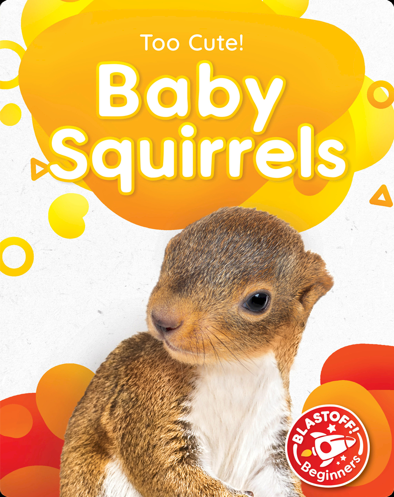 Too Cute!: Baby Squirrels Book by Elizabeth Neuenfeldt | Epic