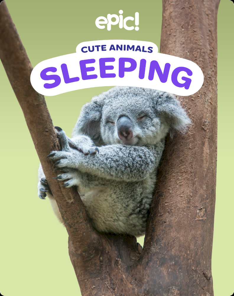 Cute Animals: Sleeping Book by Rahul Pai | Epic