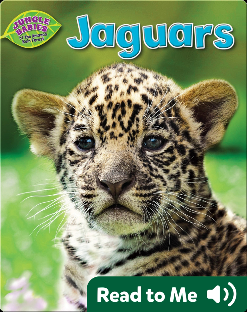 Jaguars Book by Rachel Lynette | Epic