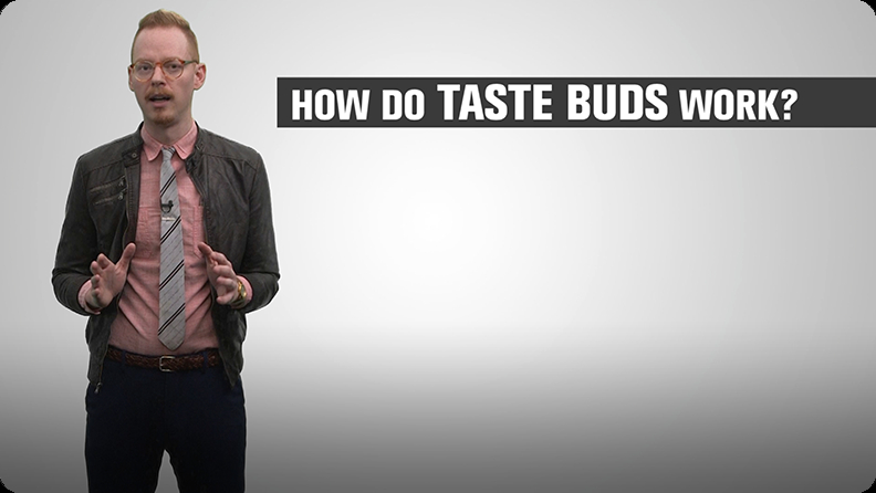 How Do Taste Buds Work? Video | Discover Fun and Educational Videos ...