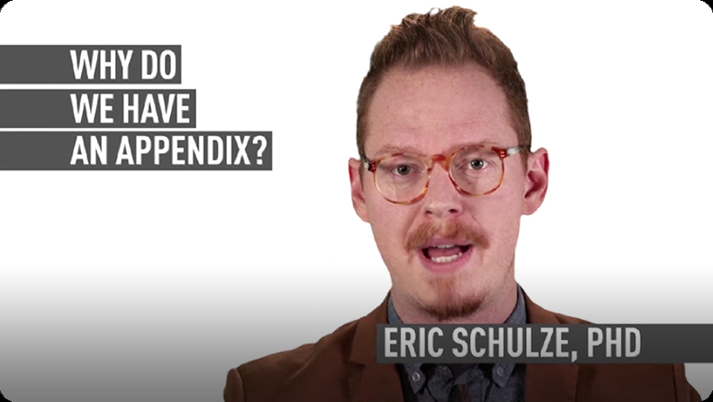 Why Do We Have an Appendix? Video | Discover Fun and Educational Videos ...