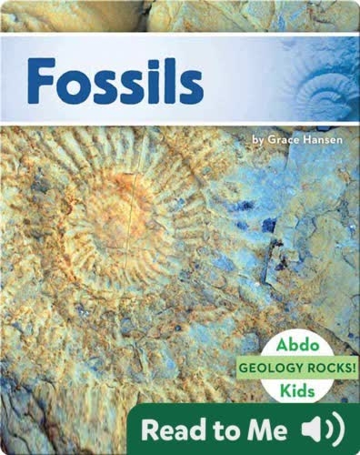 fossils Children's Book Collection | Discover Epic Children's Books ...