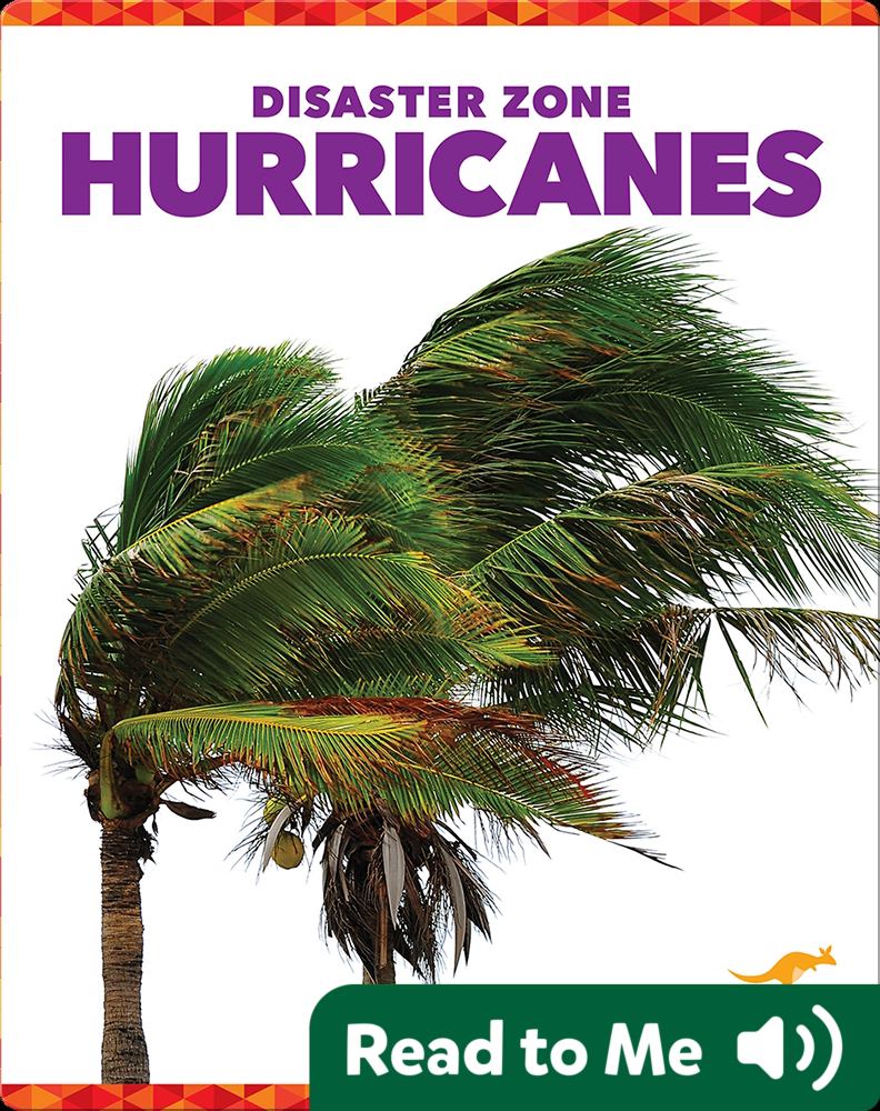 Disaster Zone: Hurricanes Book by Cari Meister | Epic