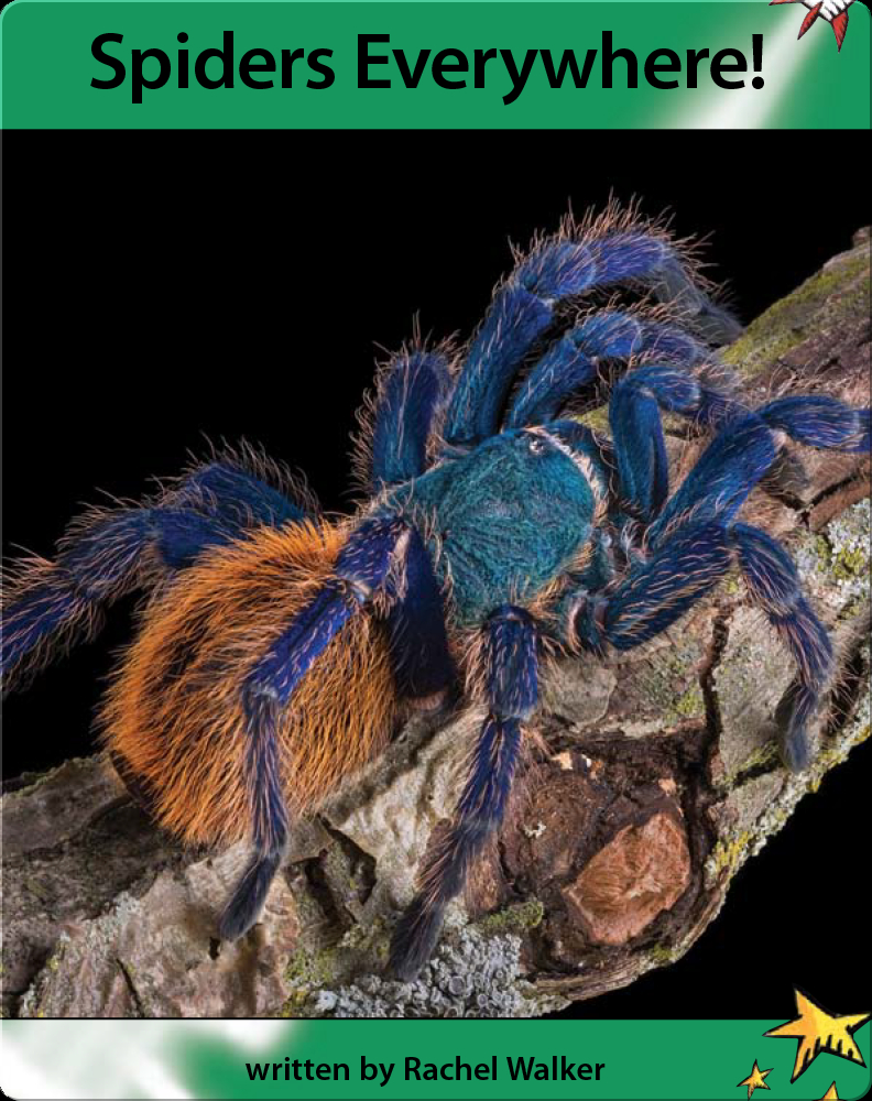 Spiders Everywhere! Book by Rachel Walker | Epic