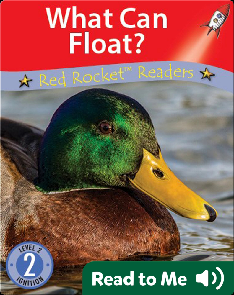 What Can Float? Book by Pam Holden | Epic