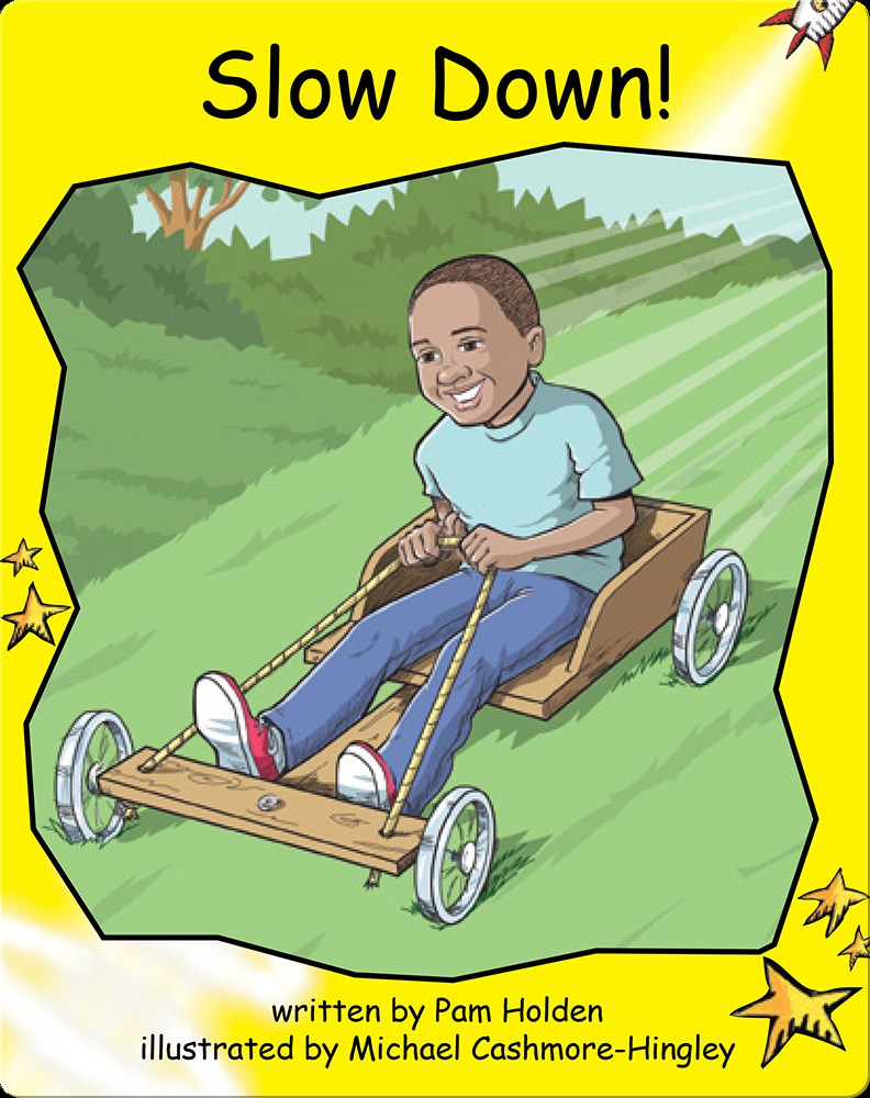 Slow Down! Book by Pam Holden | Epic