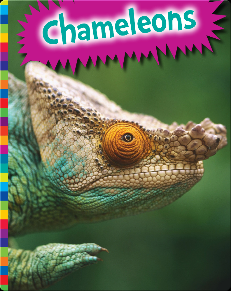 Chameleons Book by Elizabeth Raum | Epic