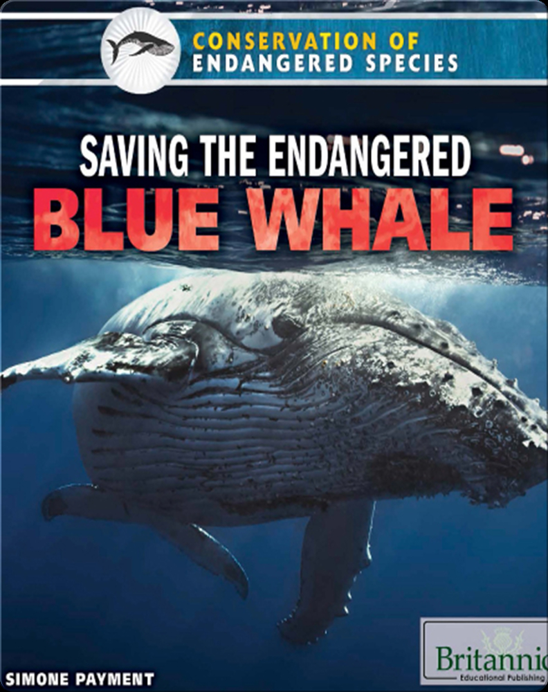 Saving the Endangered Blue Whale Book by Simone Payment | Epic