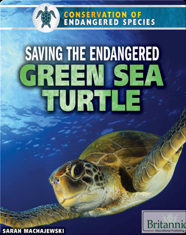 Saving the Endangered Green Sea Turtle Book by Sarah Machajewski | Epic