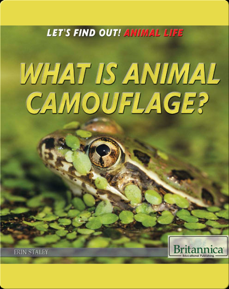 What Is Animal Camouflage? Book by Erin Staley | Epic