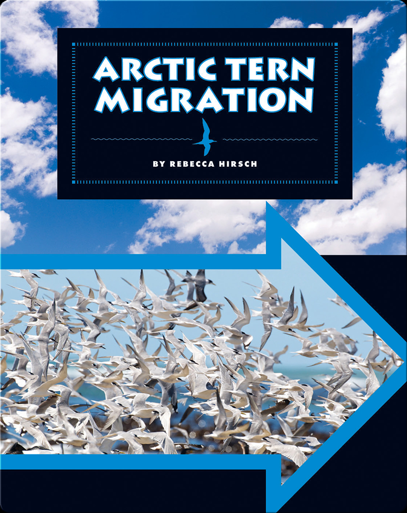 Arctic Tern Migration Book by Rebecca Hirsch | Epic