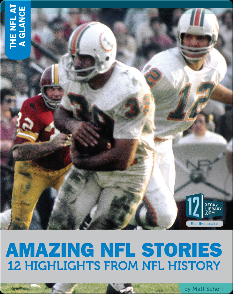 Amazing NFL Stories 12 Highlights From NFL History Book by Matt Scheff ...