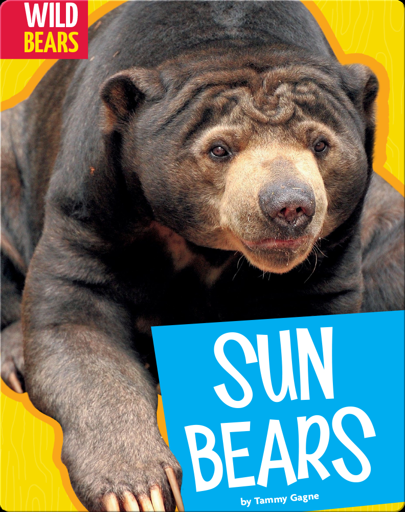 Sun Bears Book by Tammy Gagne | Epic