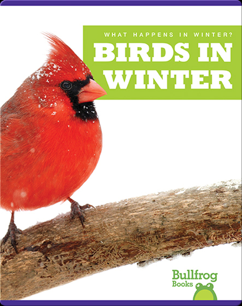 What Happens In Winter? Birds In Winter Book by Jennifer Fretland ...