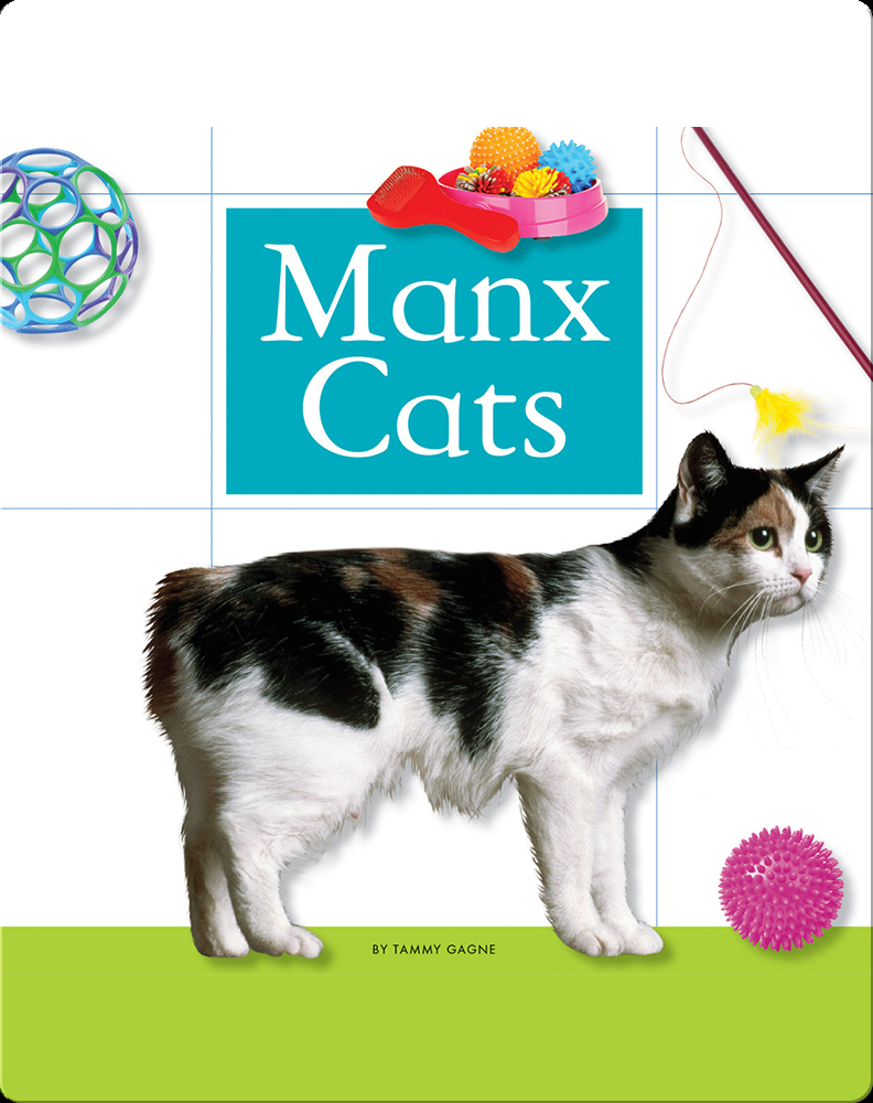 Manx Cats Book by Tammy Gagne | Epic