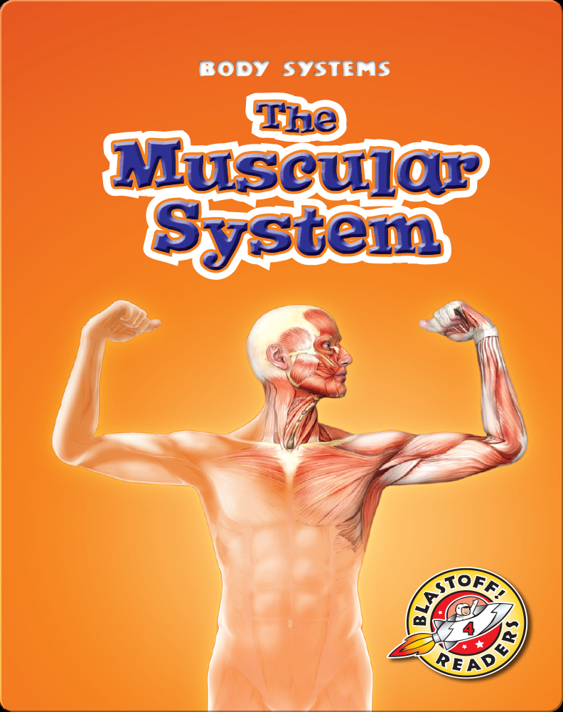 The Muscular System Book by Kay Manolis | Epic