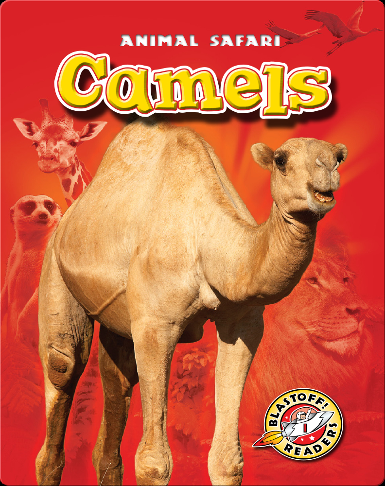 Camels Book by Megan Borgert-Spaniol | Epic