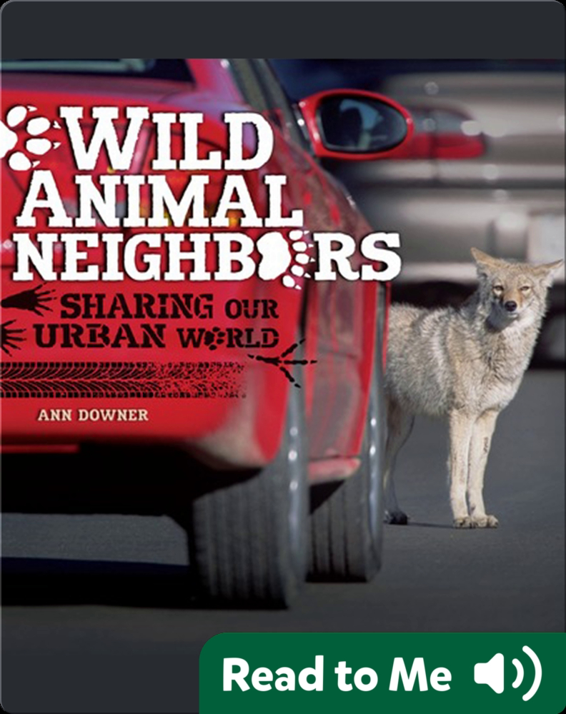 Wild Animal Neighbors: Sharing Our Urban World Book by Ann Downer | Epic