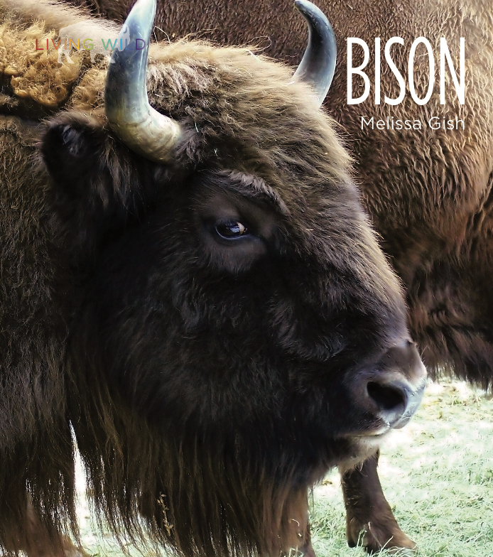 Bison Book by Melissa Gish | Epic