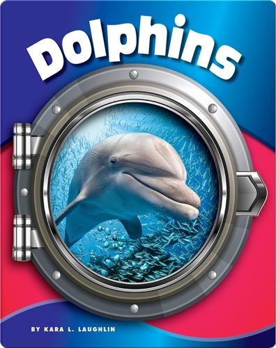Dolphins Children's Book Collection | Discover Epic Children's Books ...