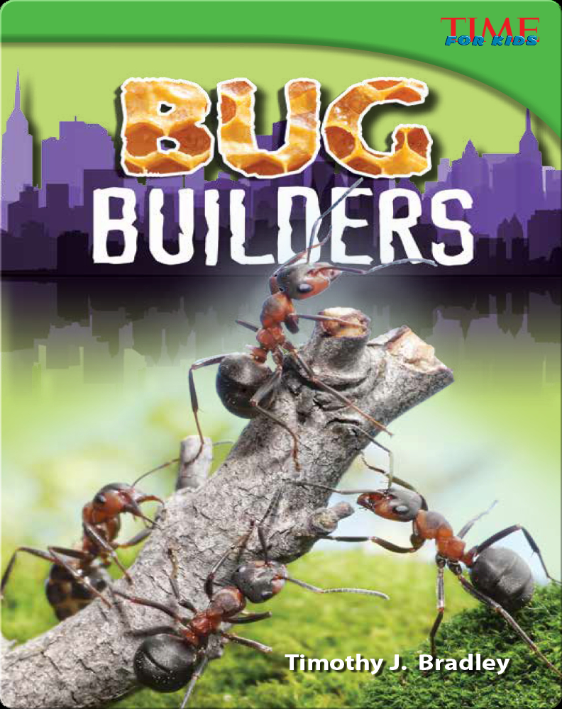 Bug Builders Book by Timothy Bradley, Timothy J. Bradley | Epic
