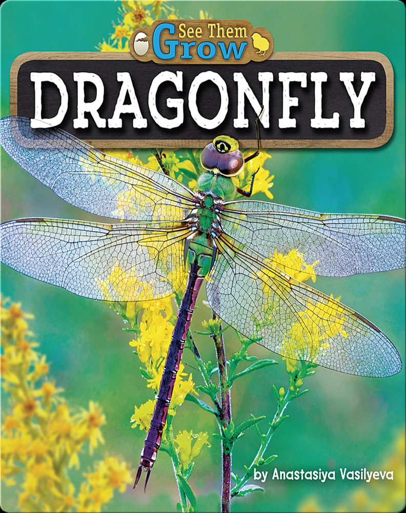 Dragonfly Book by Anastasiya Vasilyeva | Epic