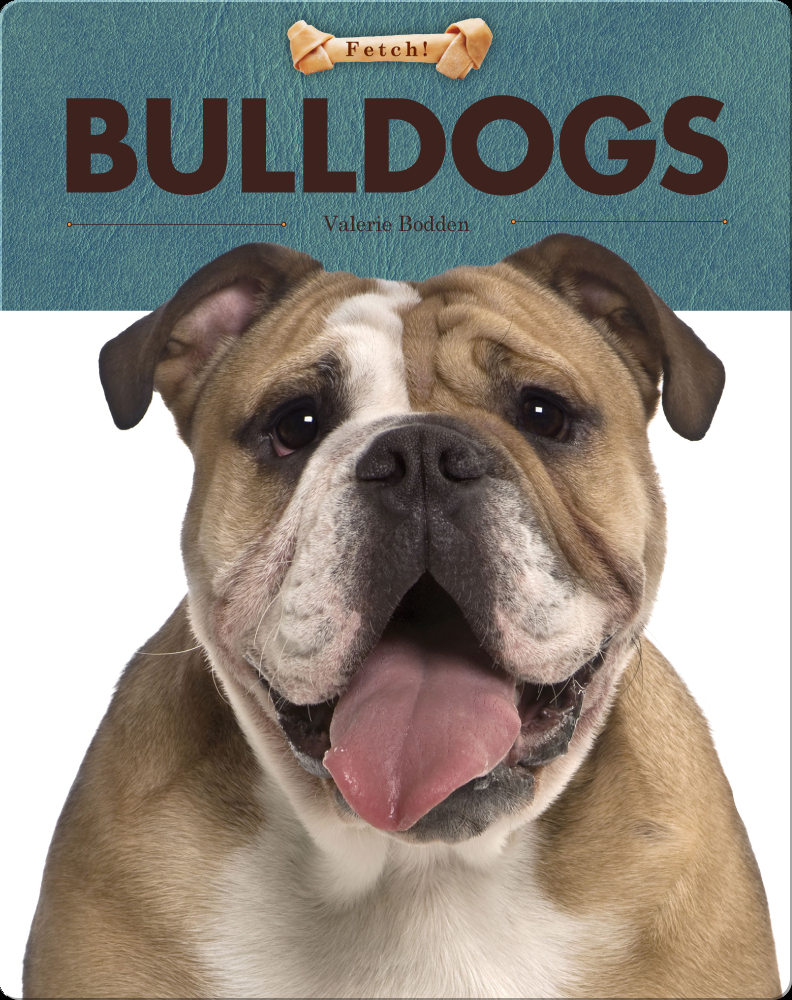 Bulldogs Book by Valerie Bodden | Epic