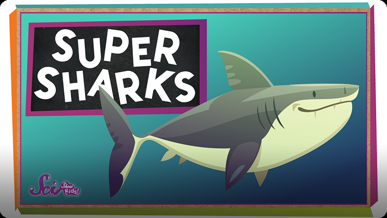 SciShow Kids: Super Sharks! Video | Discover Fun and Educational Videos ...