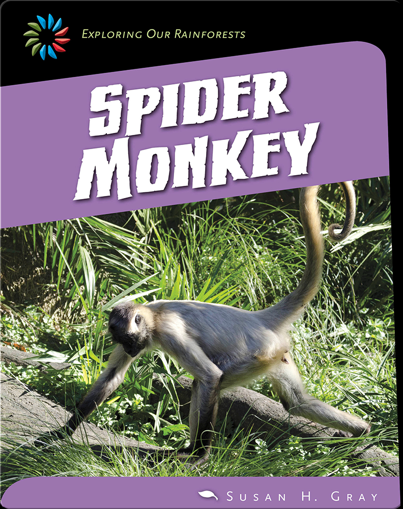 Spider Monkey Book by Susan H. Gray | Epic