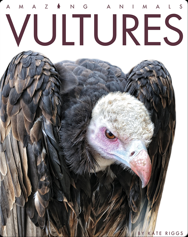 Vultures Book by Kate Riggs | Epic