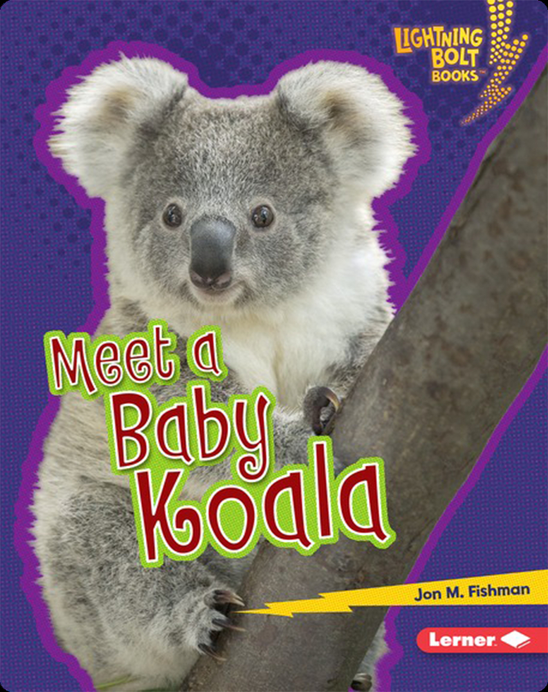 Meet a Baby Koala Book by Jon M. Fishman | Epic