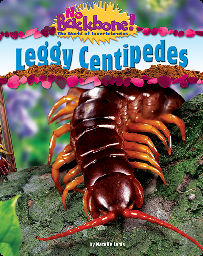 Leggy Centipedes Book by Natalie Lunis | Epic