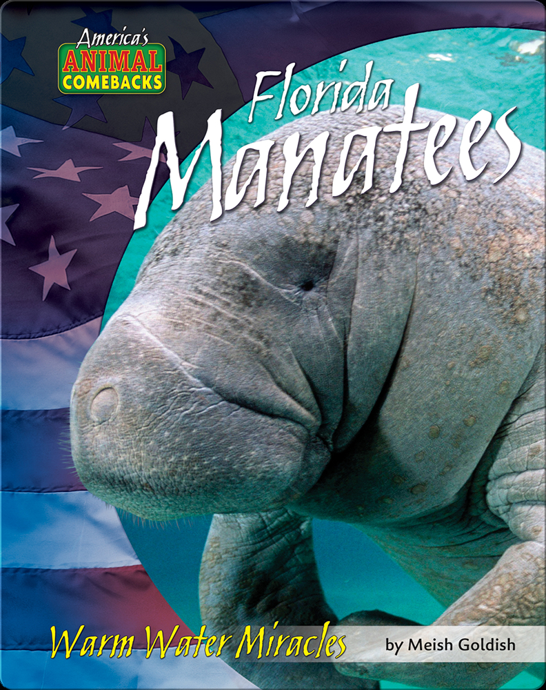 Florida Manatees: Warm Water Miracles Book by Meish Goldish | Epic