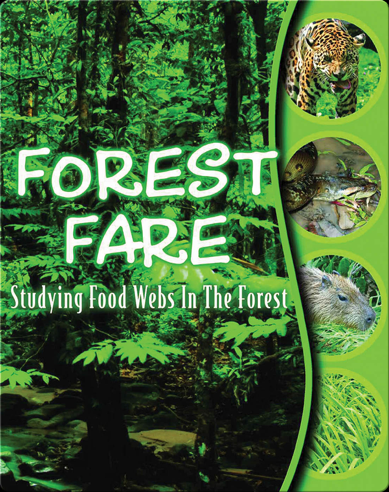 Forest Fare: Studying Food Webs In The Forest Book by Julie Lundgren | Epic