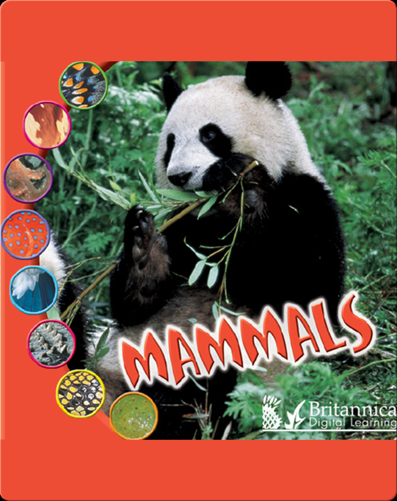 Mammals Book by Ted O'Hare | Epic
