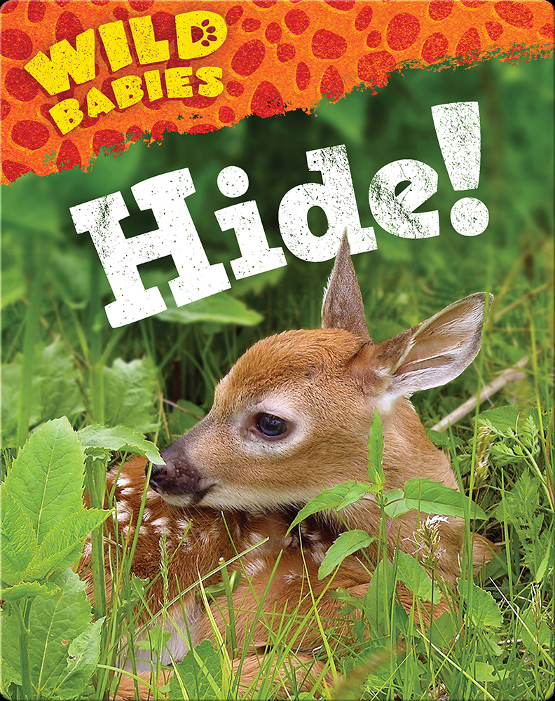 Hide! Book by Jon Alan | Epic