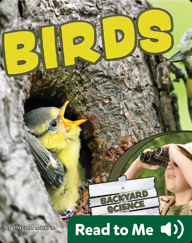 Back Yard Science - Birds Book by Harold Morris | Epic